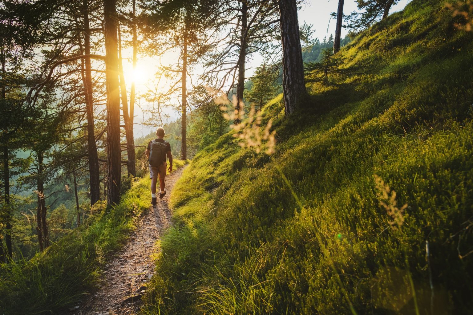 How Human Ingenuity Can Protect the Environment - Human Progress