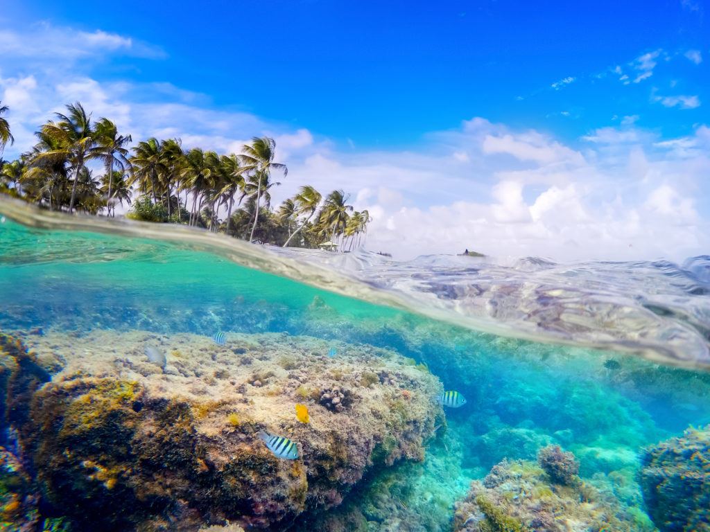 Are Low Lying Islands Helpless In The Face Of Sea Level Rise Human