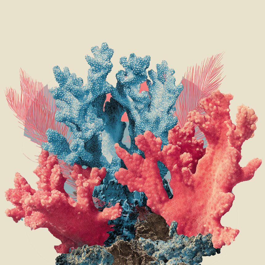 Scientists Find a Coral Species They Thought Had Gone Extinct - Human ...